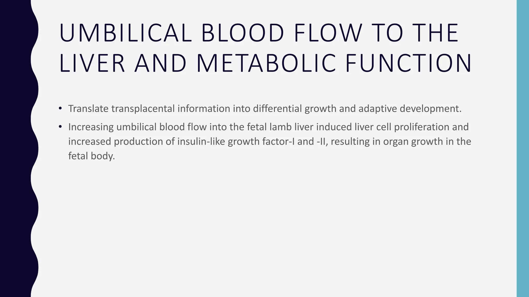 physiology of transition circulation | PPTX