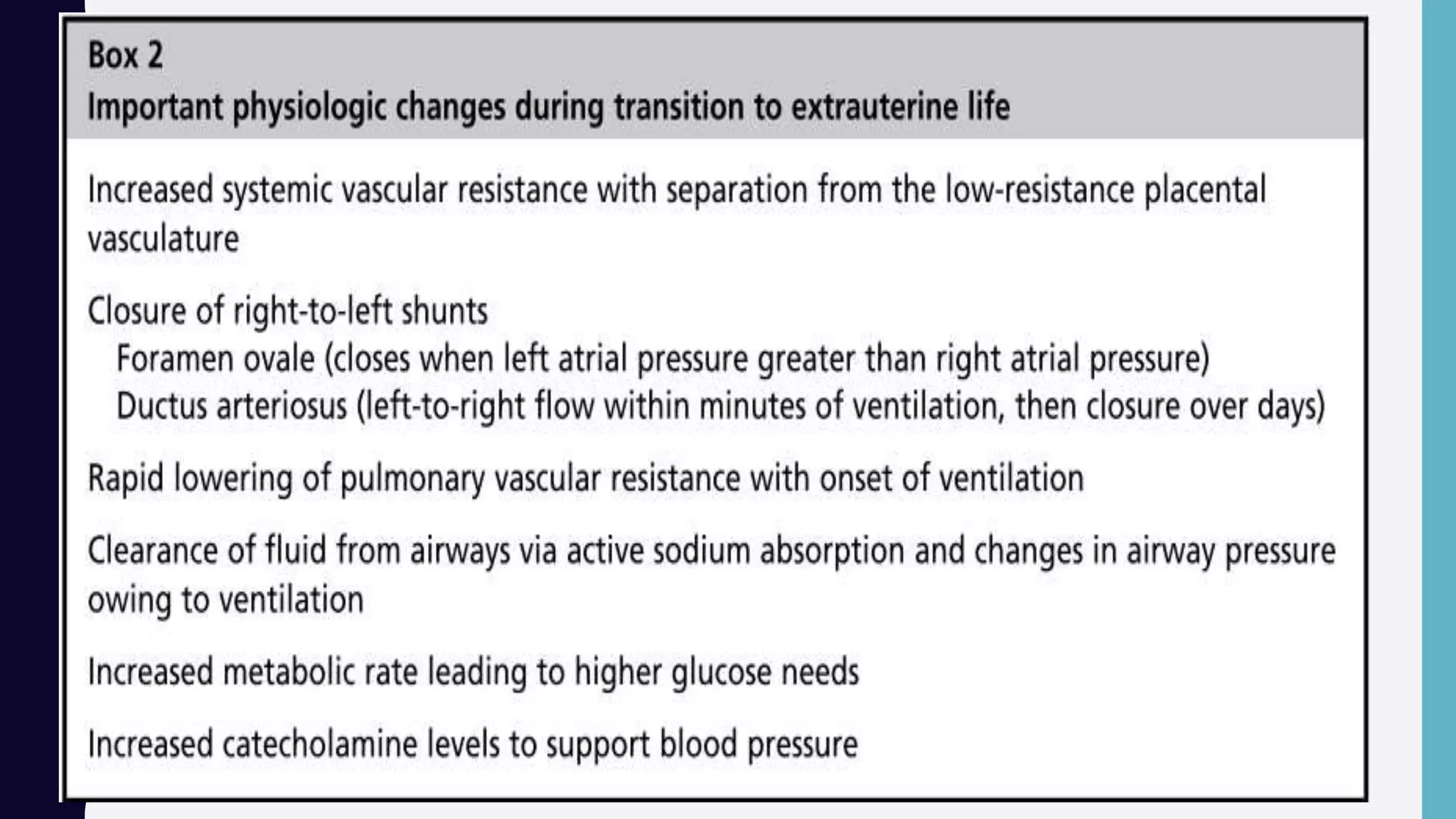 physiology of transition circulation | PPTX