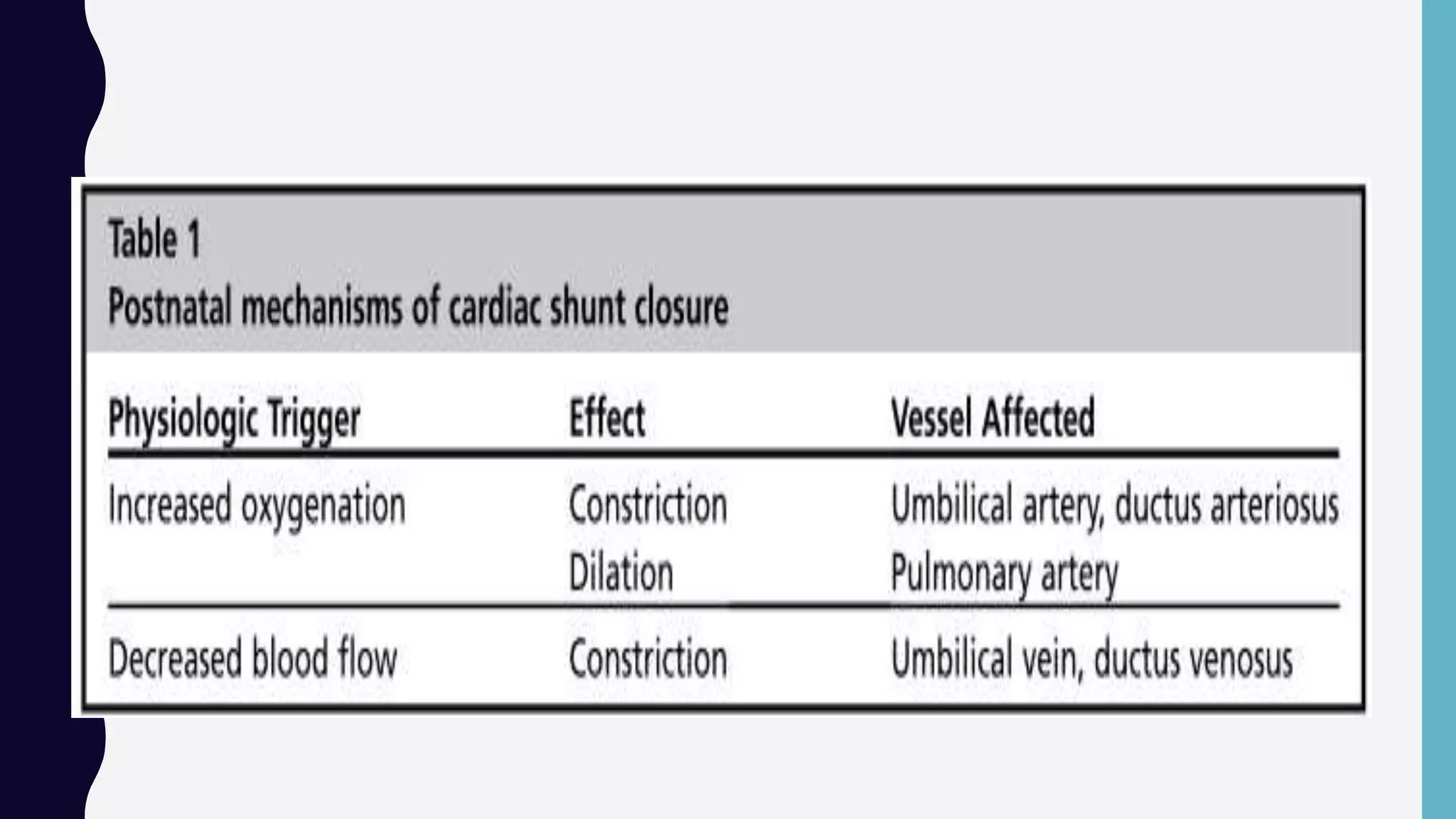 physiology of transition circulation | PPTX