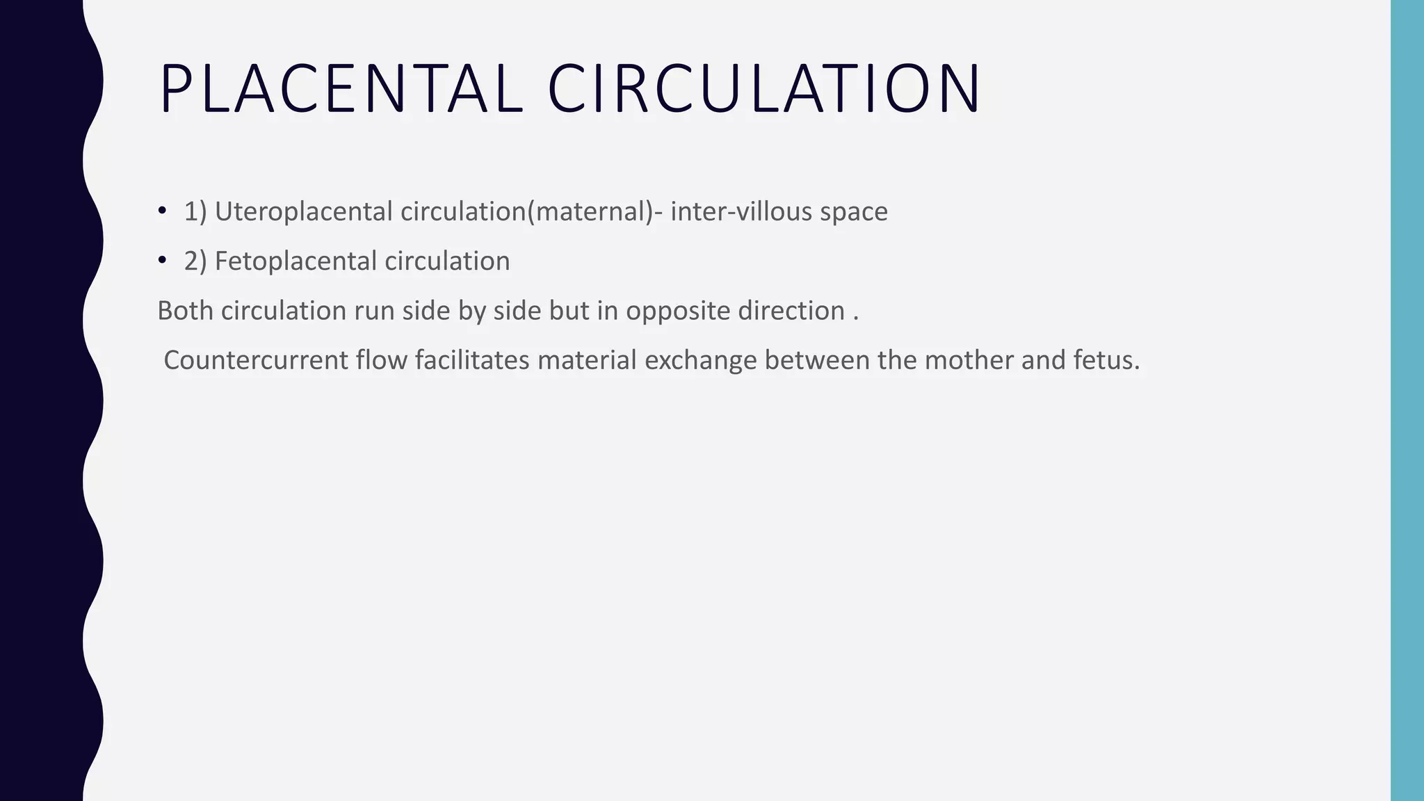 physiology of transition circulation | PPTX