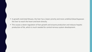 physiology of transition circulation | PPTX