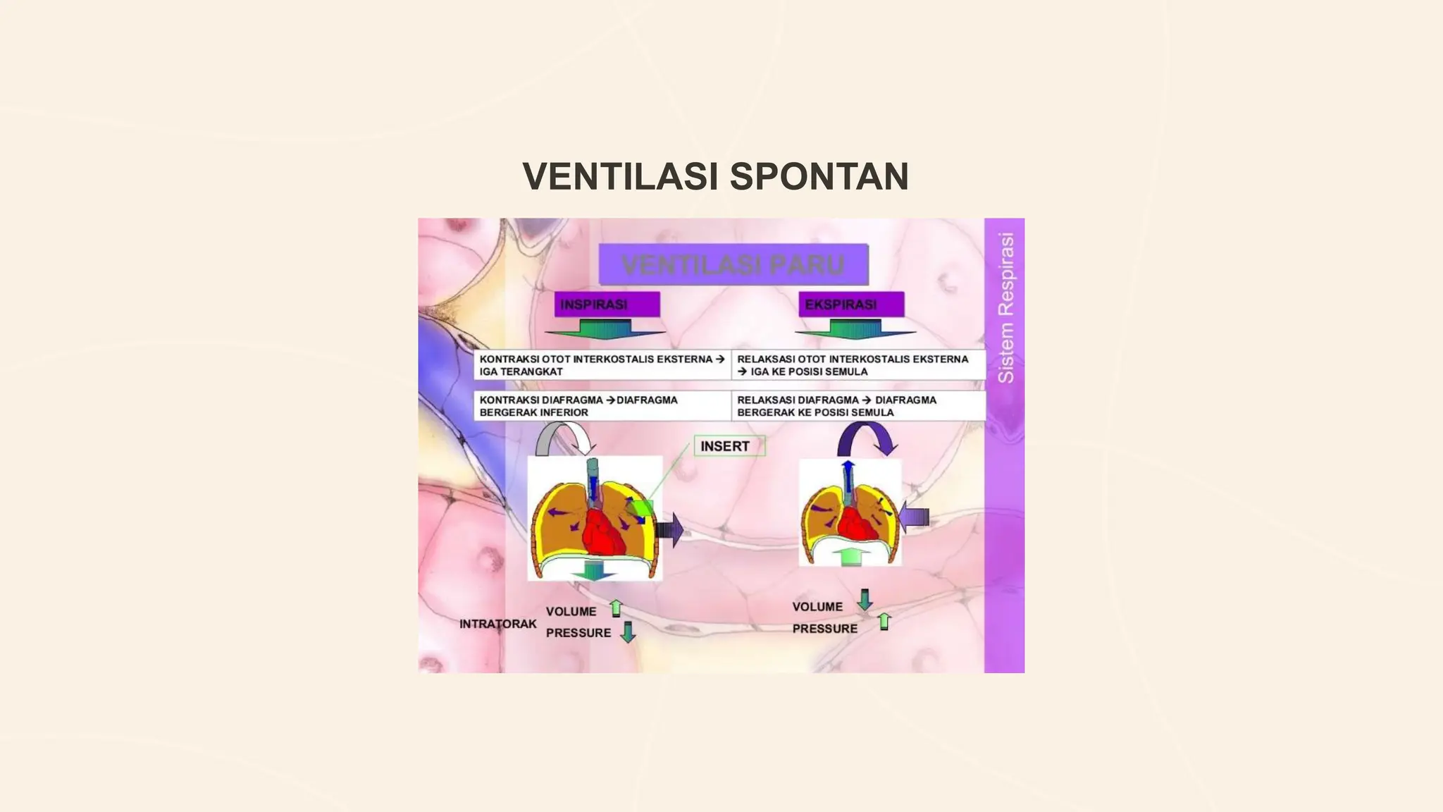 PPT TRANSPOR OKSIGEN (SUKMA JELITA).pptx