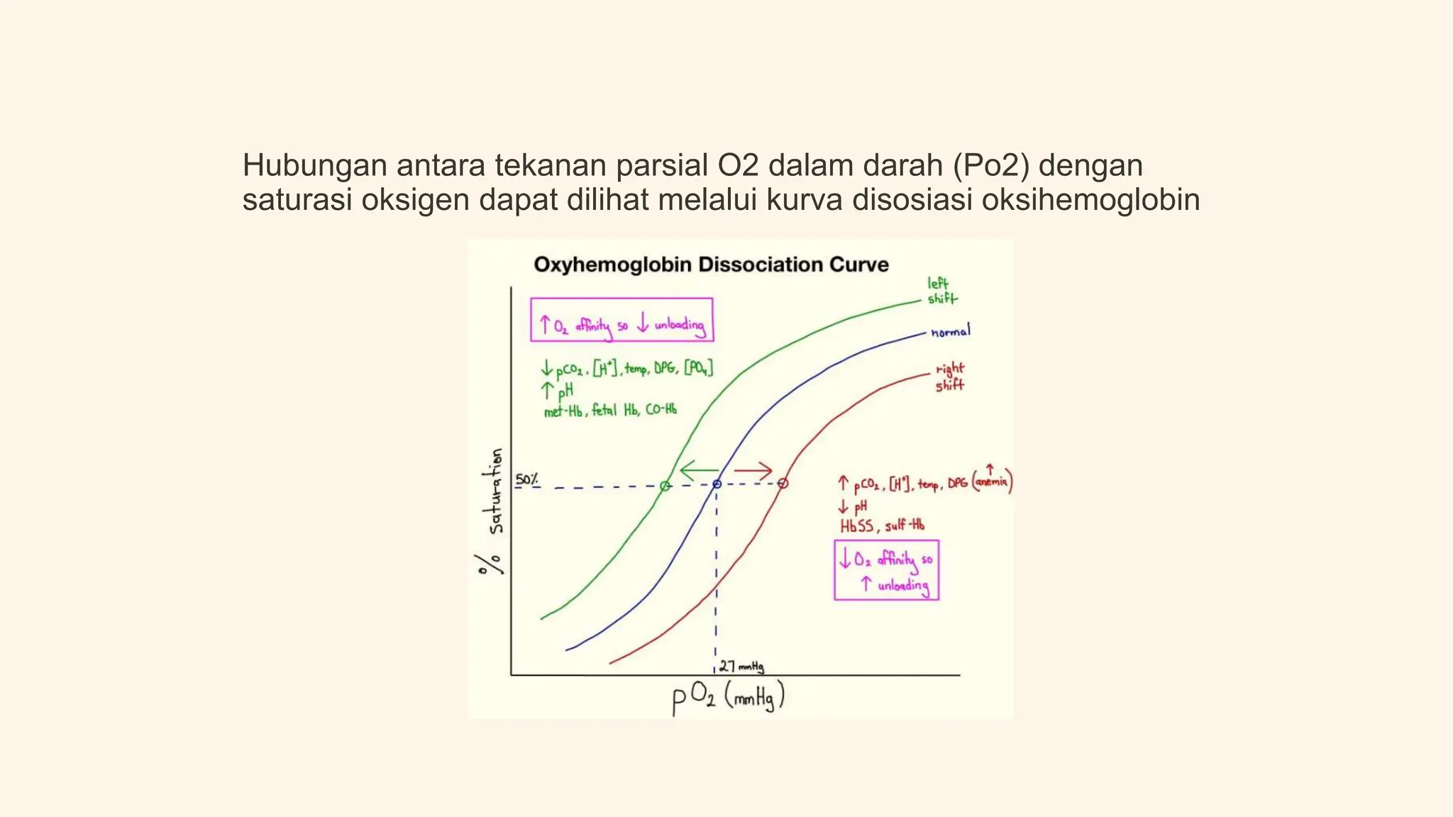 PPT TRANSPOR OKSIGEN (SUKMA JELITA).pptx