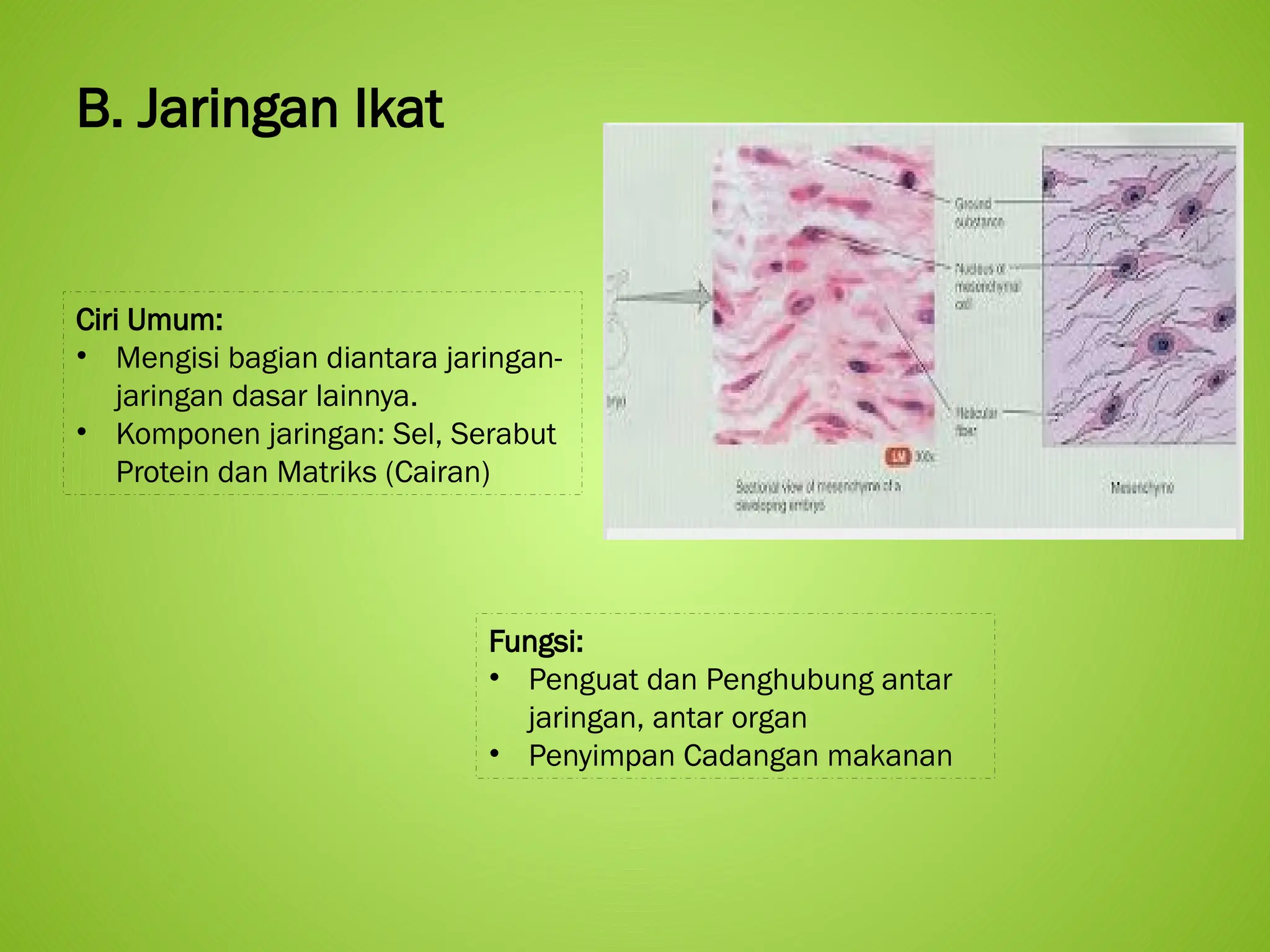 PPT Transpor pada MaNuSia, peredaran darah, limfa dan pertukaran zat ...