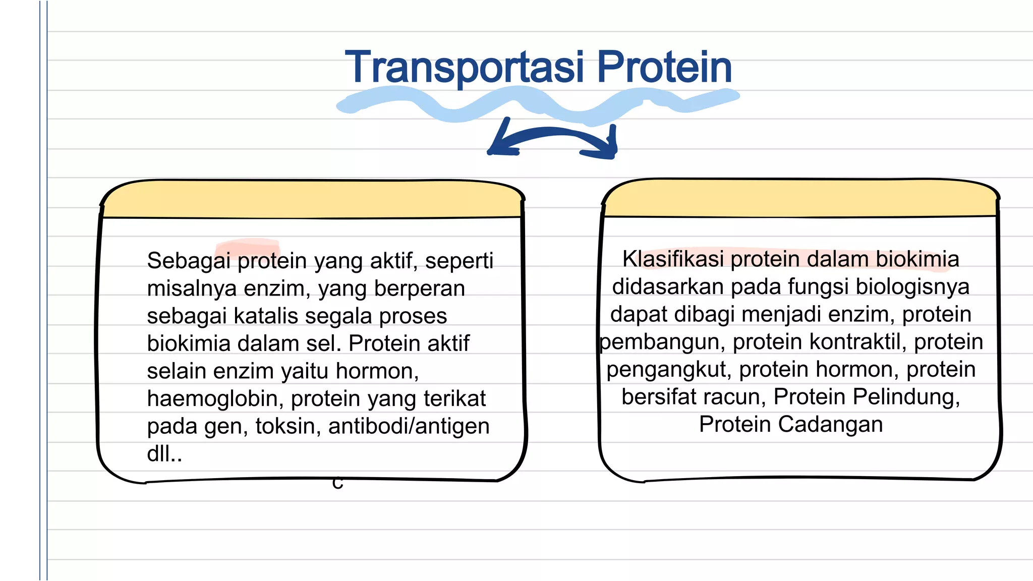 ppt transportasi protein kelompok 10.ppsx
