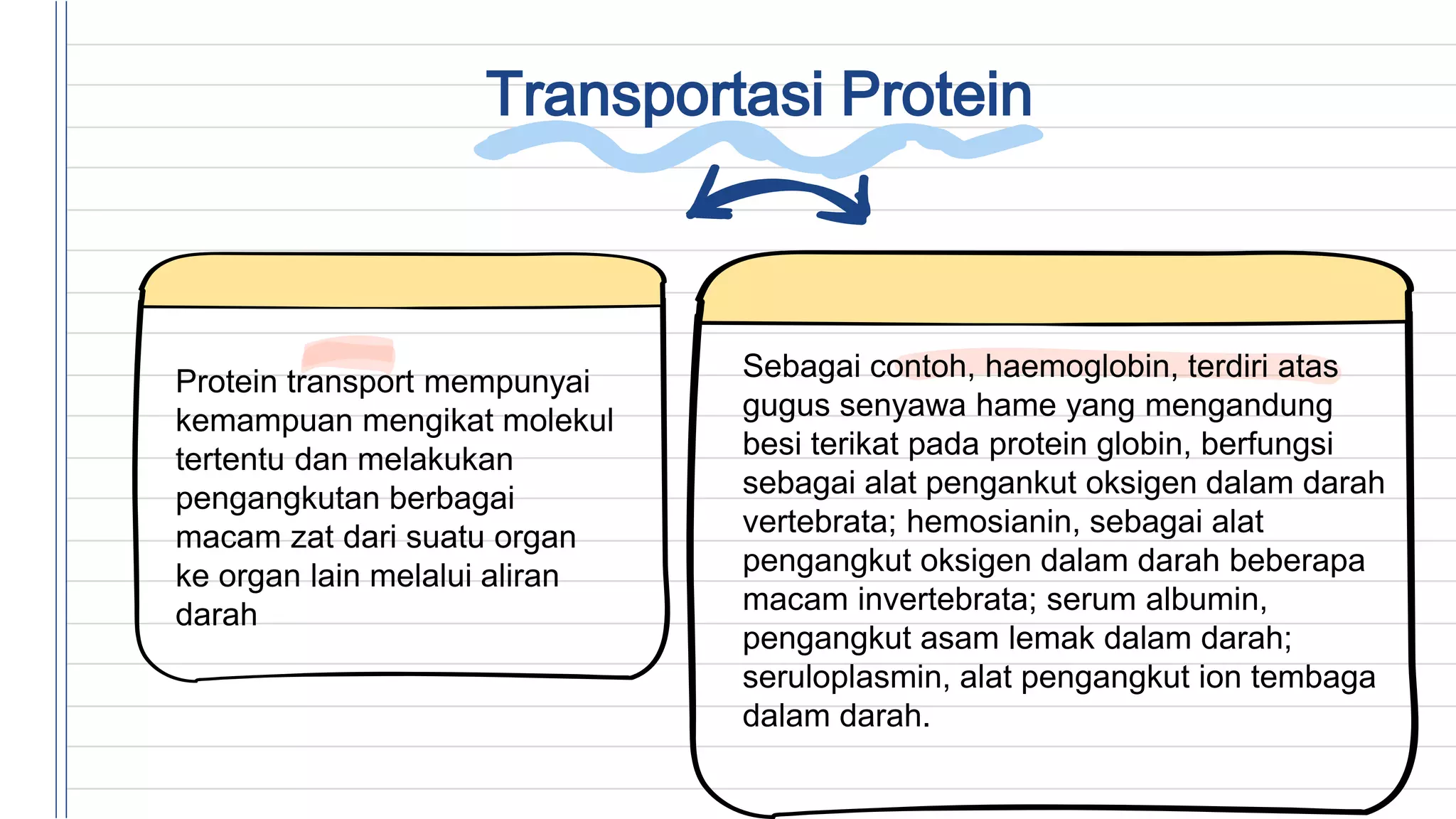 ppt transportasi protein kelompok 10.ppsx