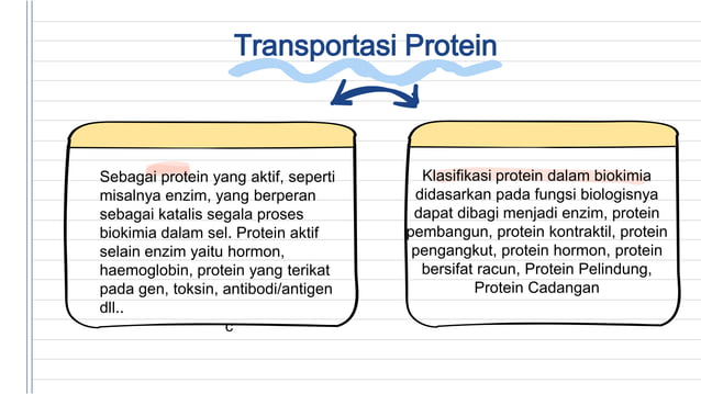ppt transportasi protein kelompok 10.ppsx