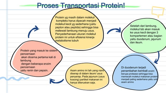 ppt transportasi protein kelompok 10.ppsx