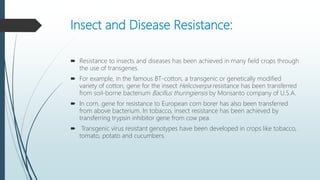 transgenic for crop improvement , global scenario and prospects | PPTX