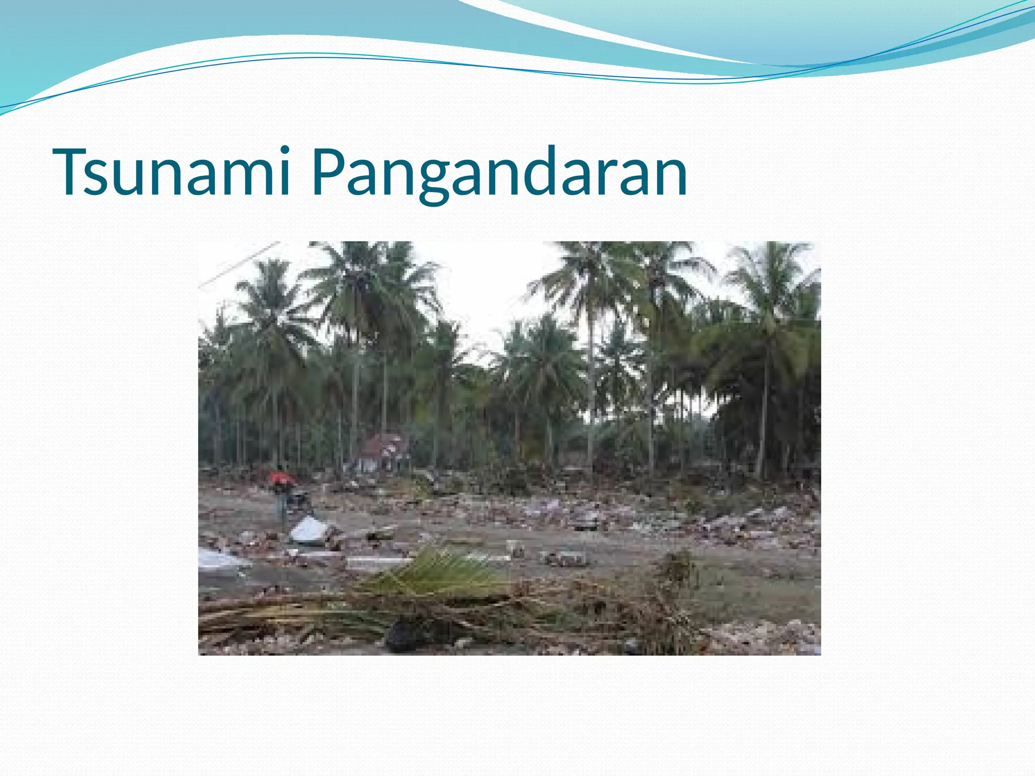 TSUNAMI PENGENALAN TERJADINYA TSUNAMI (PPTX) | PPT