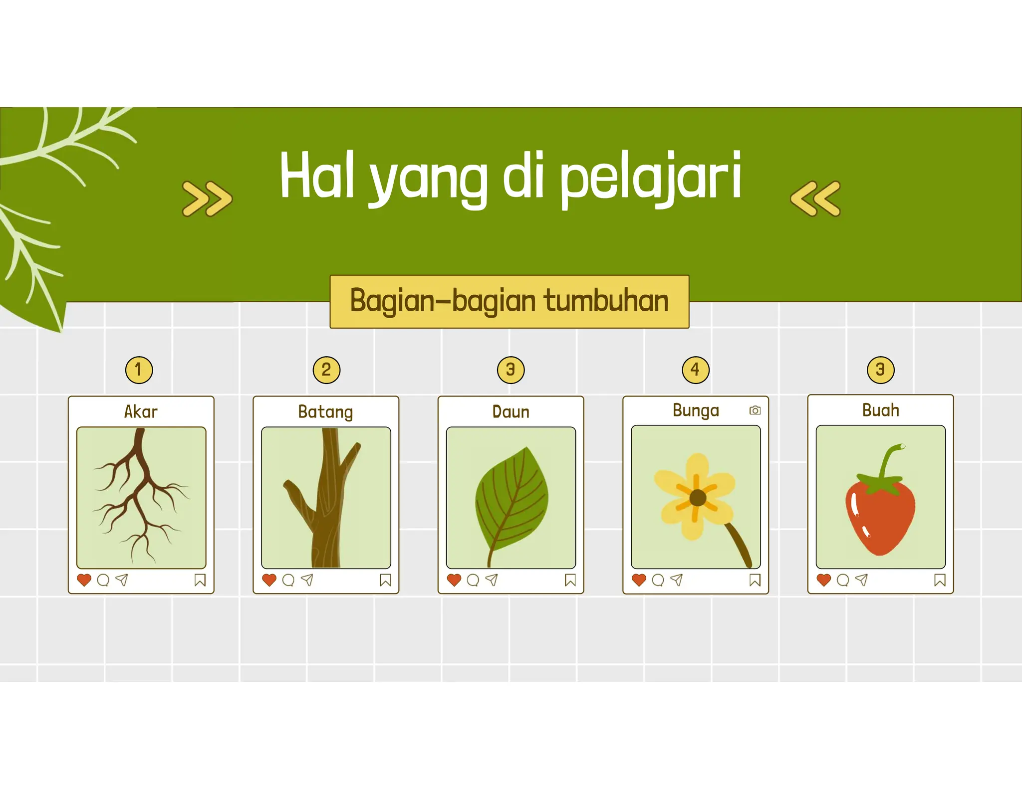 Tubuh tumbuhan terdiri dari beberapa bagian utama yang memiliki fungsi masing-masing. Bagian ...
