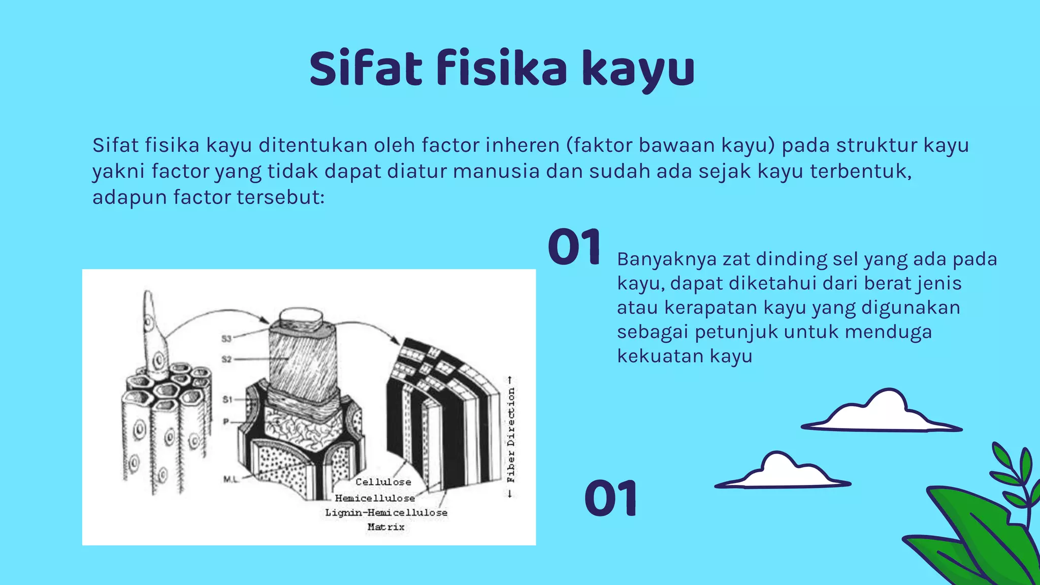 PENDAHULUAN SIFAT FISIKA KAYU | PPTX