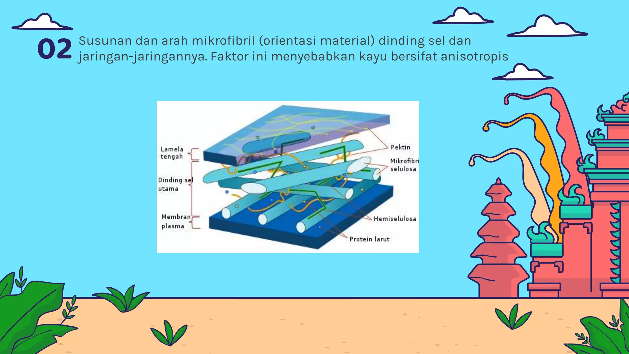PENDAHULUAN SIFAT FISIKA KAYU | PPTX