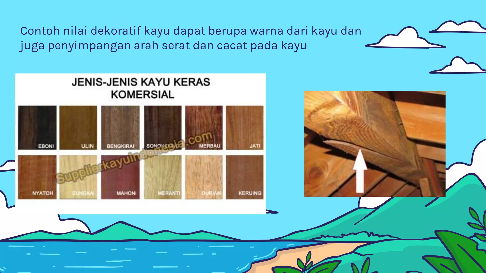 PENDAHULUAN SIFAT FISIKA KAYU | PPTX