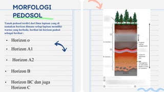 PPT TUGAS MANDIRI GEOLOGI KUARTER PEDOSOL DIMAS DWI ALDHI PUTRA ...