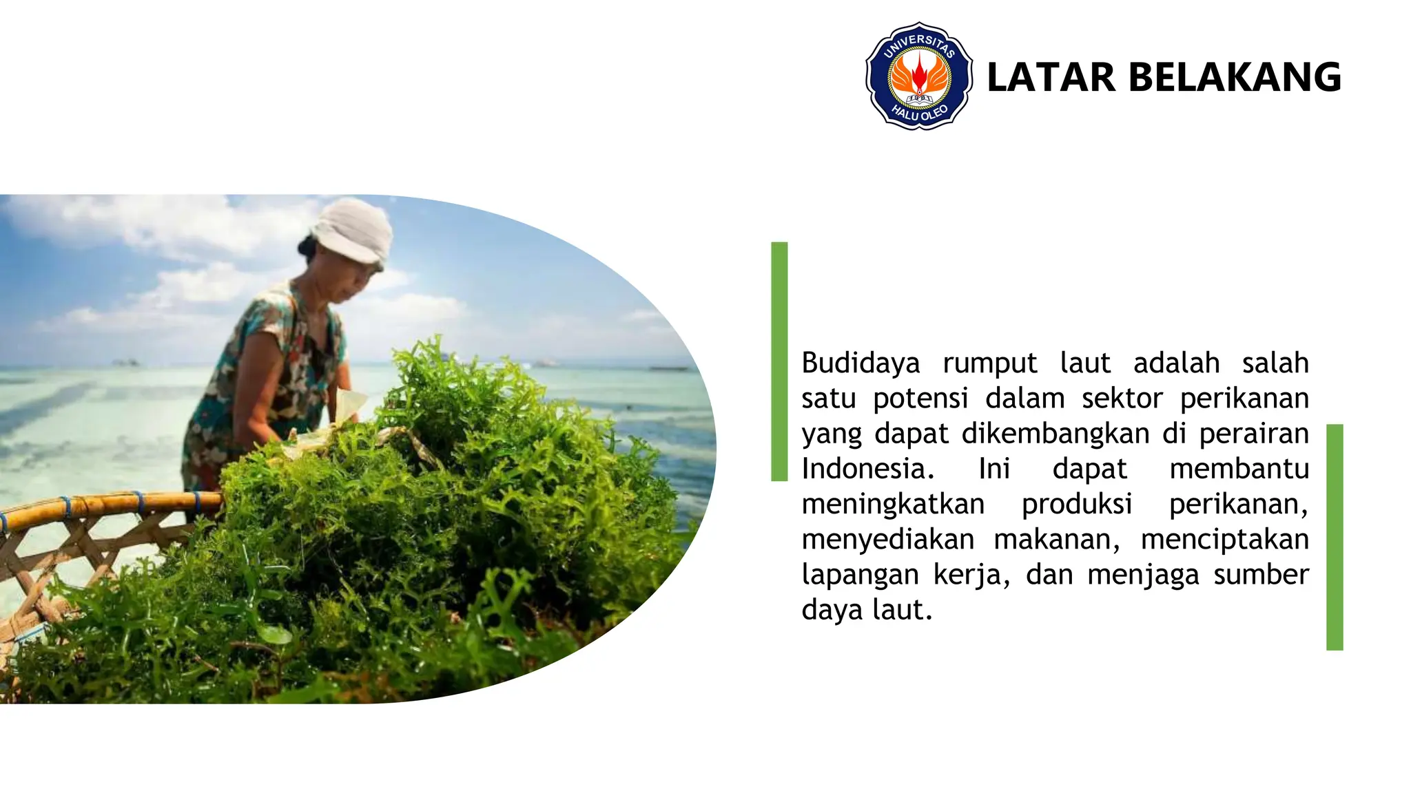 Proposal Penelitian Rumput Laut.pptx