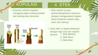 Tumbuhan dan lingkungannya power point.. | PPTX