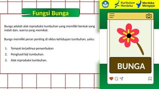 PPT Tumbuhan, Guru hebat_Merdeka Belajar_Merdeka Mengajar | PPT