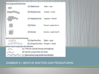 SIMPLE STAINING - Tutorial Semester 3 | PPT