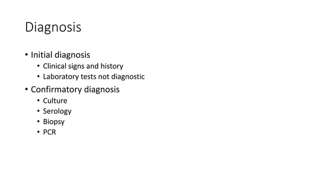 Ppt typhus fever 01.pptx | Infectious Diseases | Diseases and Conditions