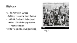 Ppt typhus fever 01.pptx