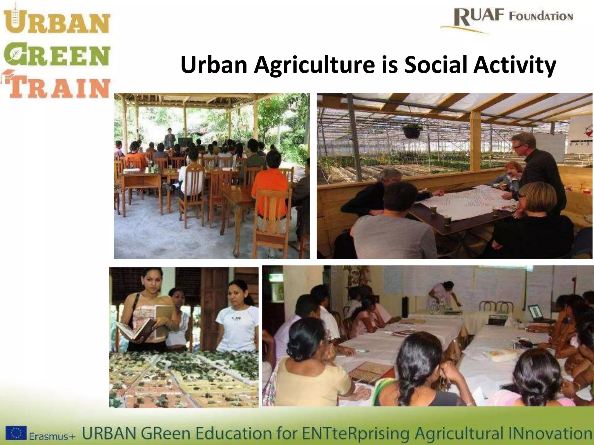 Typology of urban agriculture activities | PPTX | Agriculture | Industries