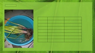 PPT UAS EKOHIDROLOGI KEL. 4.pptx