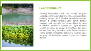 PPT UAS EKOHIDROLOGI KEL. 4.pptx