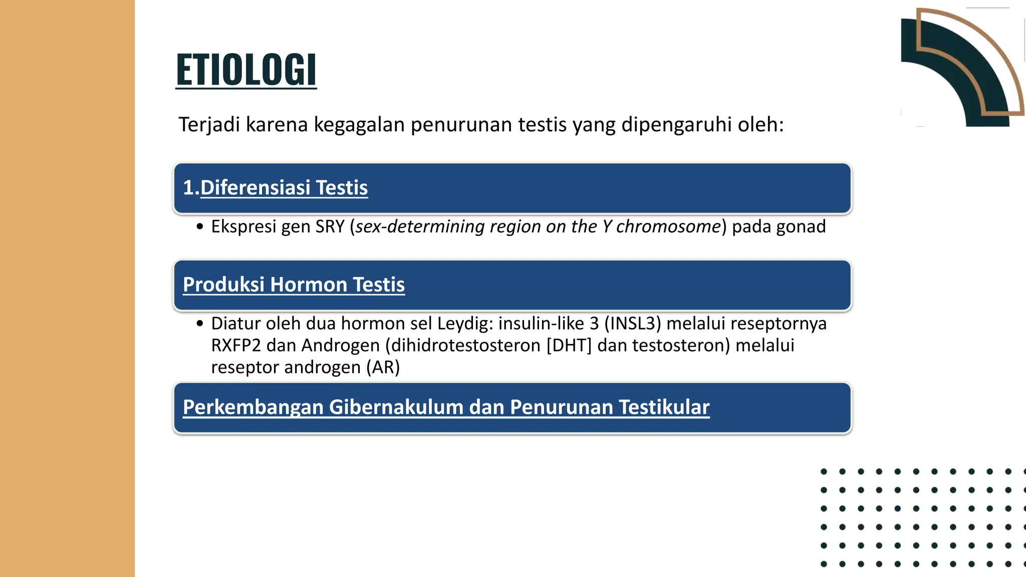 PPT Undesensus Testis Kriptokidismus UDT | PPT