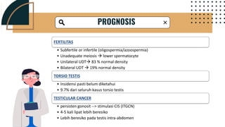 PPT Undesensus Testis Kriptokidismus UDT | PPT