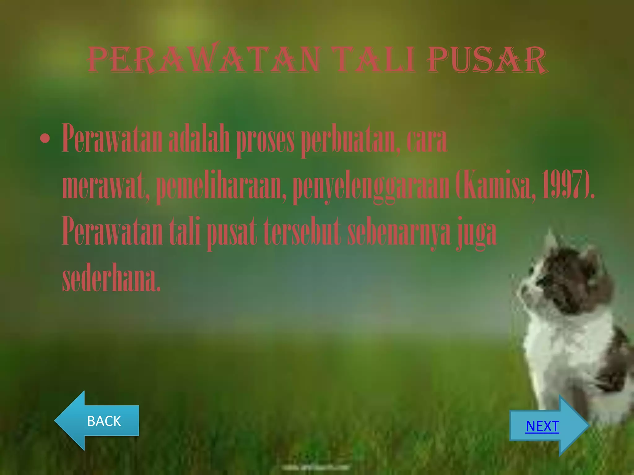 Cara merawat tali pusar pada BBL | PPT