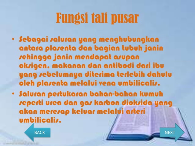 Cara merawat tali pusar pada BBL | PPT