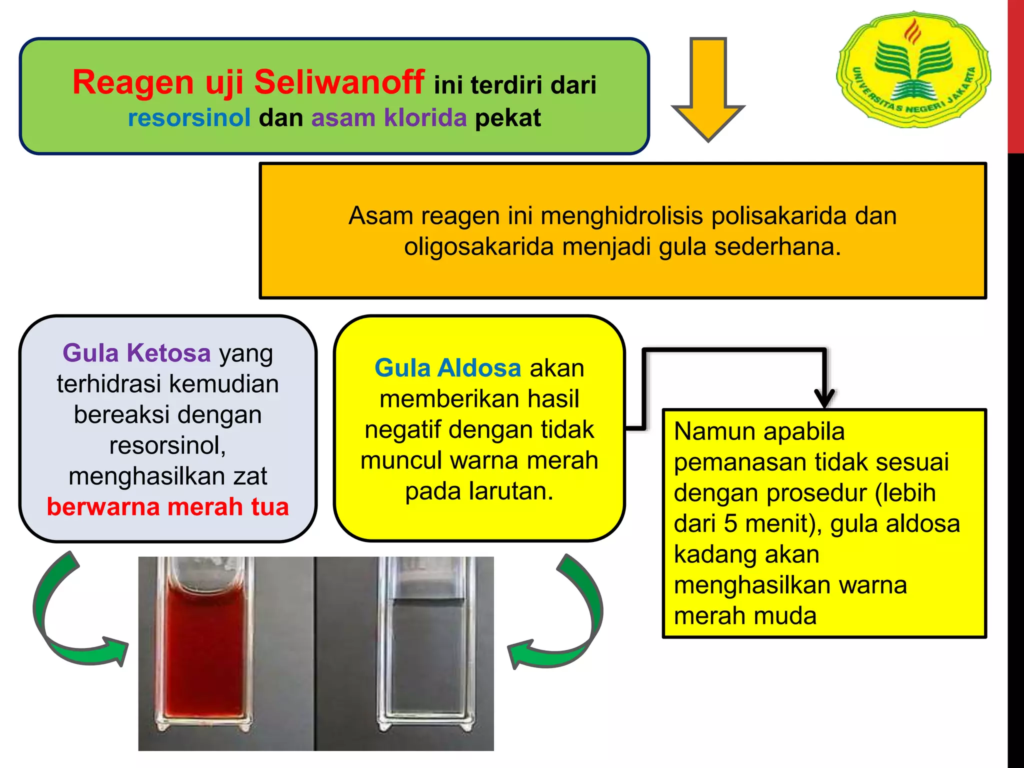 Ppt uji karbohidrat | PPTX