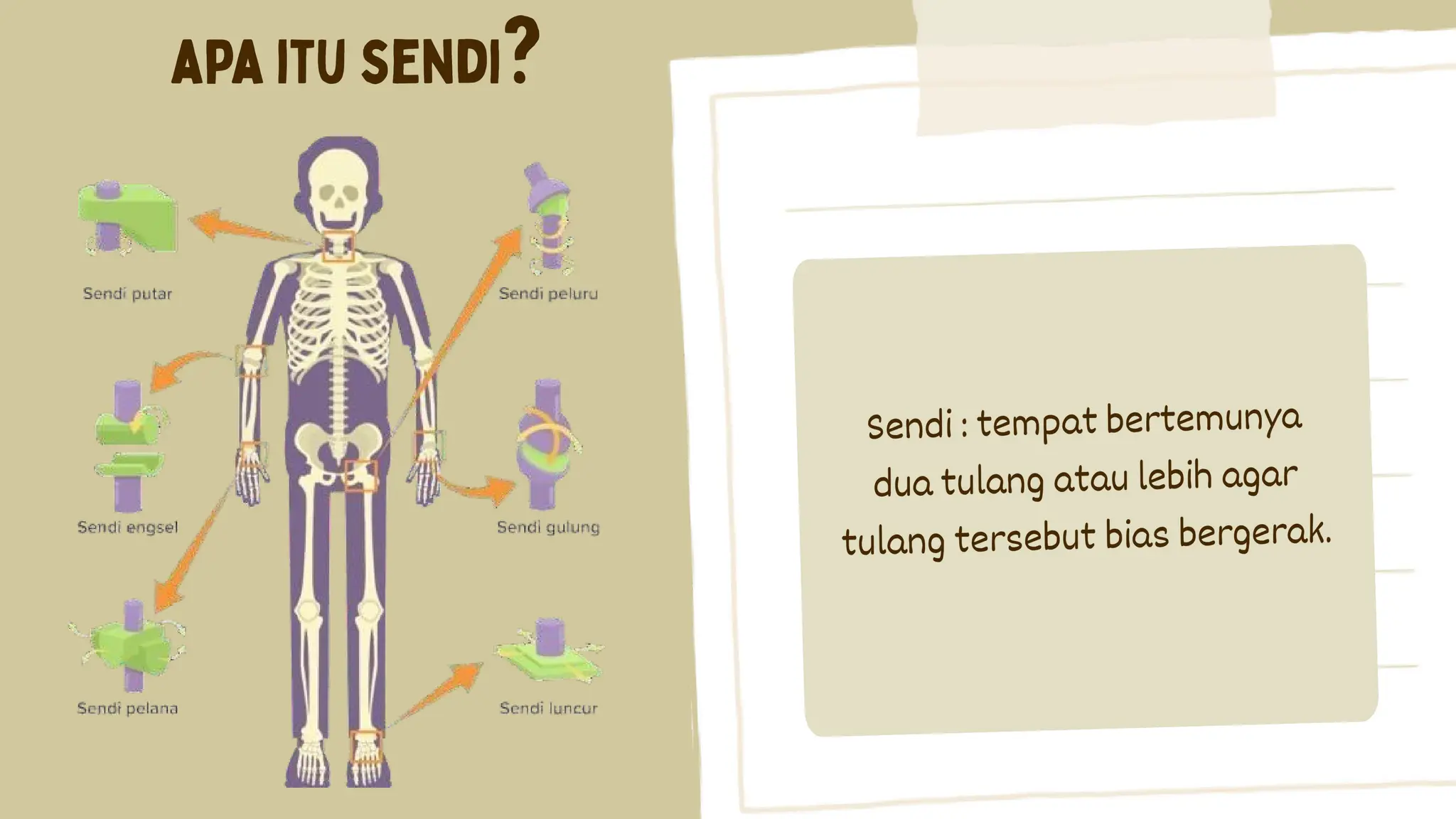 PPT UKIN WIDA 2.pptx alat gerak pada manusia | PPTX