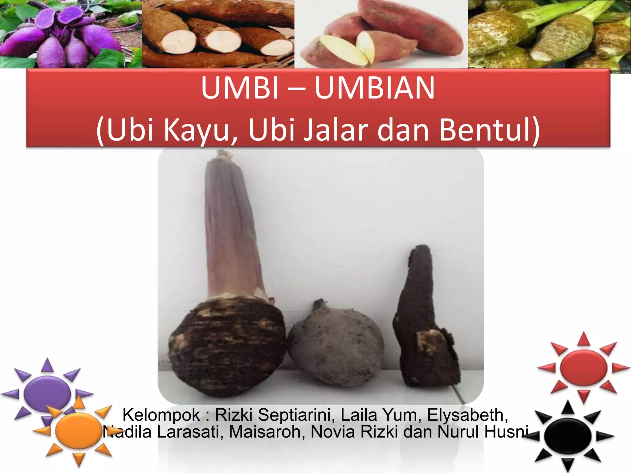 umbi umbian (ubi kayu ubi jalar dan bentul) | PPTX