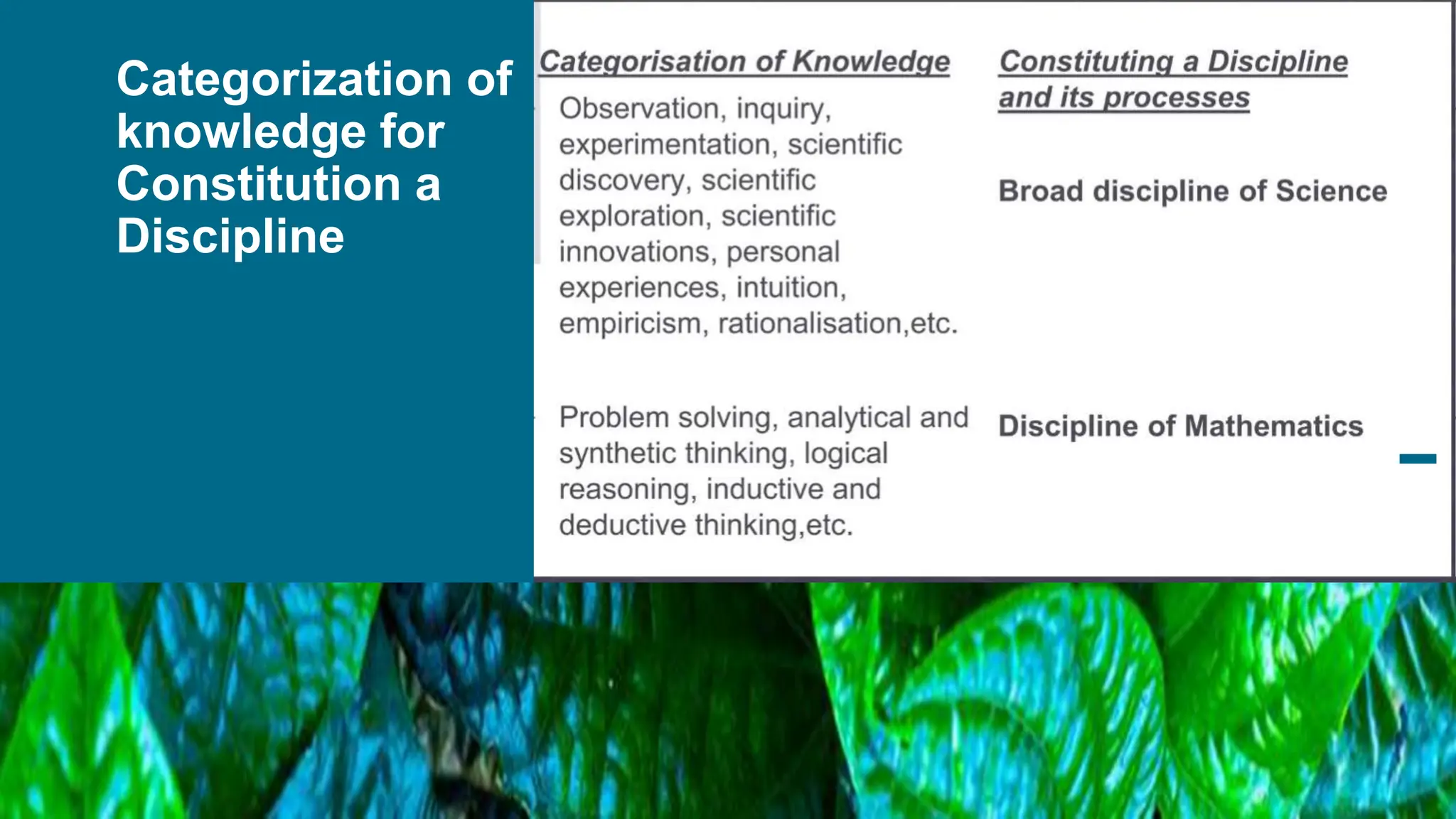 PPT Understanding Discipline and Subject UNIT 1.pptx