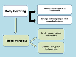 body covering dan sifat umum unggas | PPTX