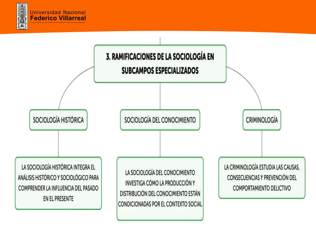 Ppt Unidad 1 Semana 3 EvoluciÓn De La SociologÍa Y Sus Representantes