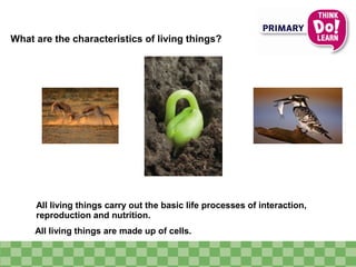 Unit 1 science 5 | PPT
