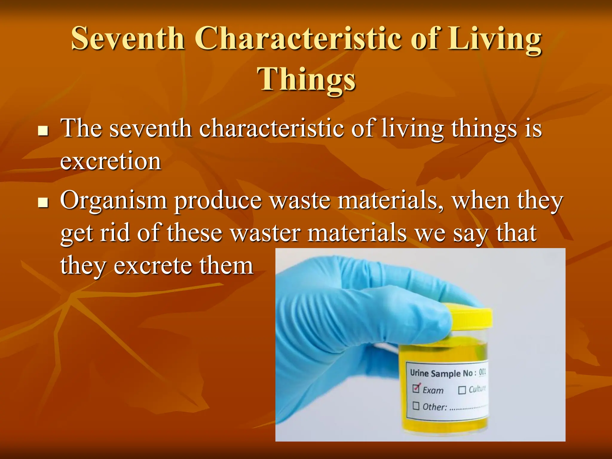 PPT Cells, Tissues, Organs, and System in Living Organism | PDF