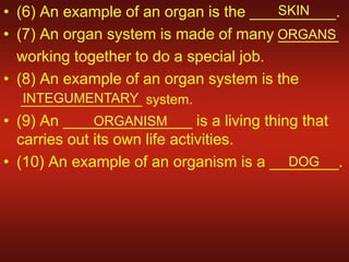 PPT Cells, Tissues, Organs, and System in Living Organism | PDF