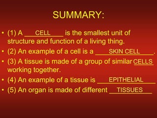 PPT Cells, Tissues, Organs, and System in Living Organism | PDF