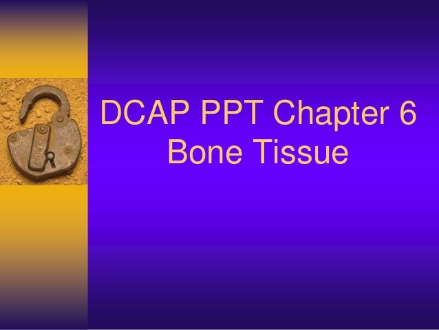 PPT_Unit_2_Chapter_6_-_Bone_Tissue.ppt