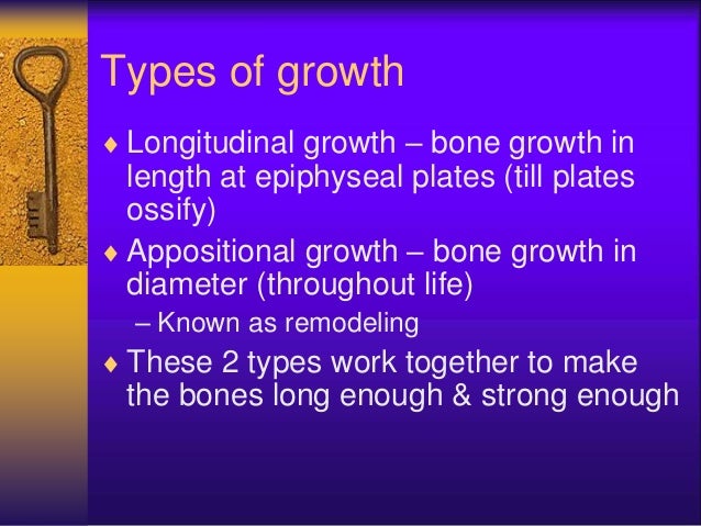 PPT_Unit_2_Chapter_6_-_Bone_Tissue.ppt