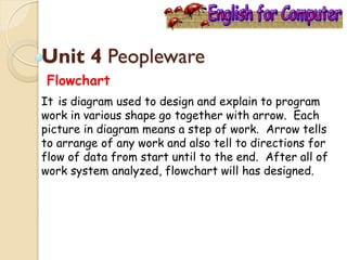 English for Computer unit 4 Peopleware | PDF