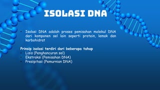 Powerpoint ISOLASI DNA mikrobiologi.pptx