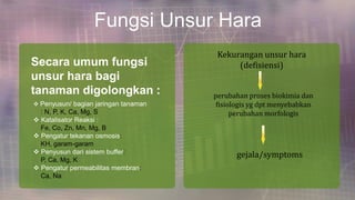 Materi UNSUR HARA penddikan biologi11111111 | PPTX