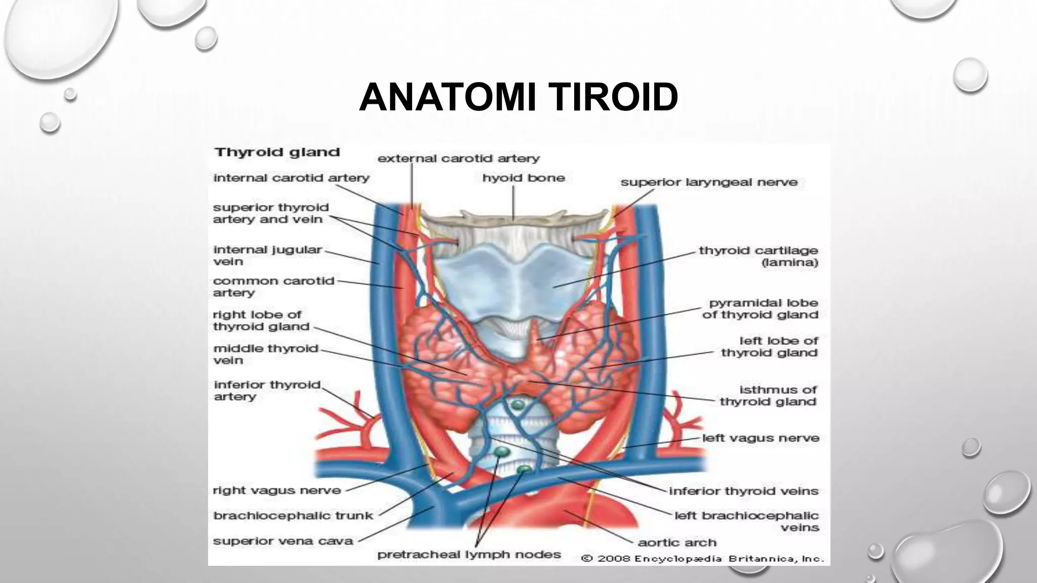 Ppt teknik pemeriksaan tiroid up take | PPTX