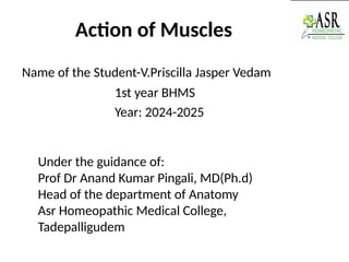 Action of Muscles ppt by Priscilla Jasper Vedam Vemavarapu @ASRHMC | PPTX