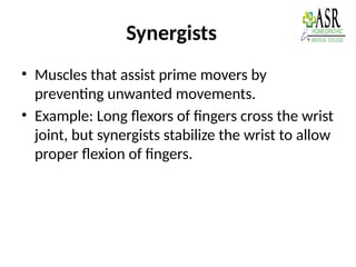 Action of Muscles ppt by Priscilla Jasper Vedam Vemavarapu @ASRHMC | PPTX